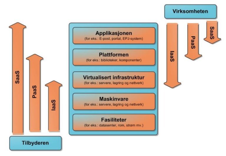 Tjeneste- og leveransemodeller - Helsedirektoratet